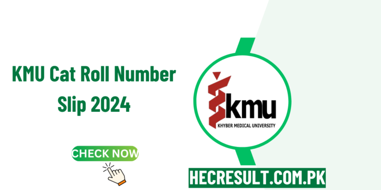 KMU Cat Roll Number Slip 2024 Test Held on 25 August
